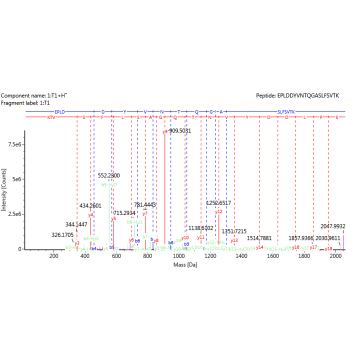 N-Terminal/C-Terminal sequencing_Pharmasources.com