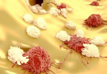 Oncolytics Biotech Announces FDA Fast Track for Reolysin ...